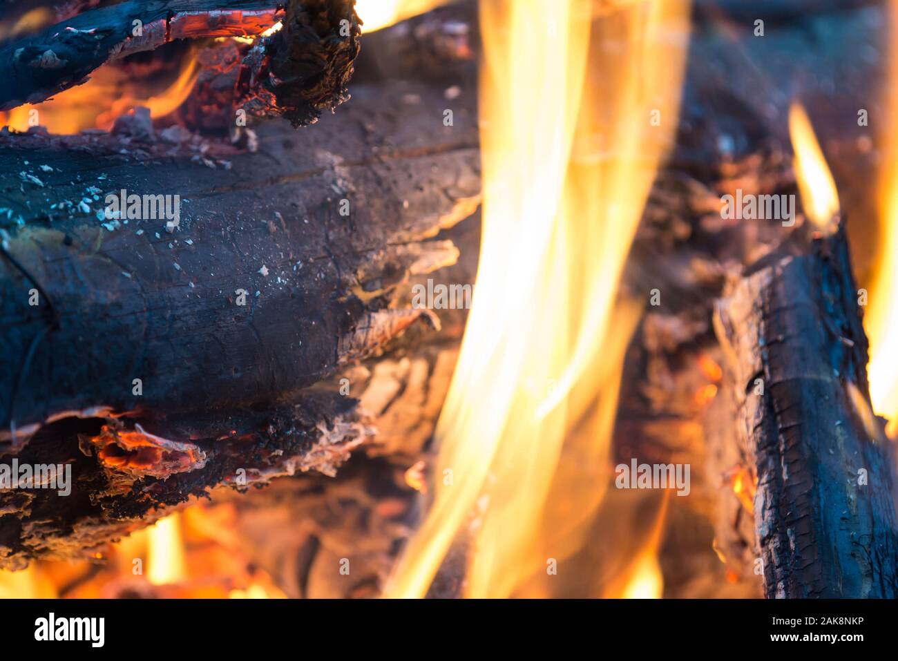 Burning bonfire close-up. Abstract background. Concept of nature and ...