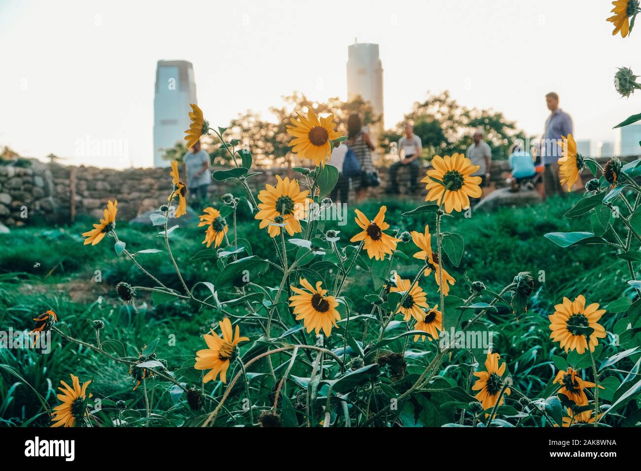 Nature vs. big city Stock Photo - Alamy