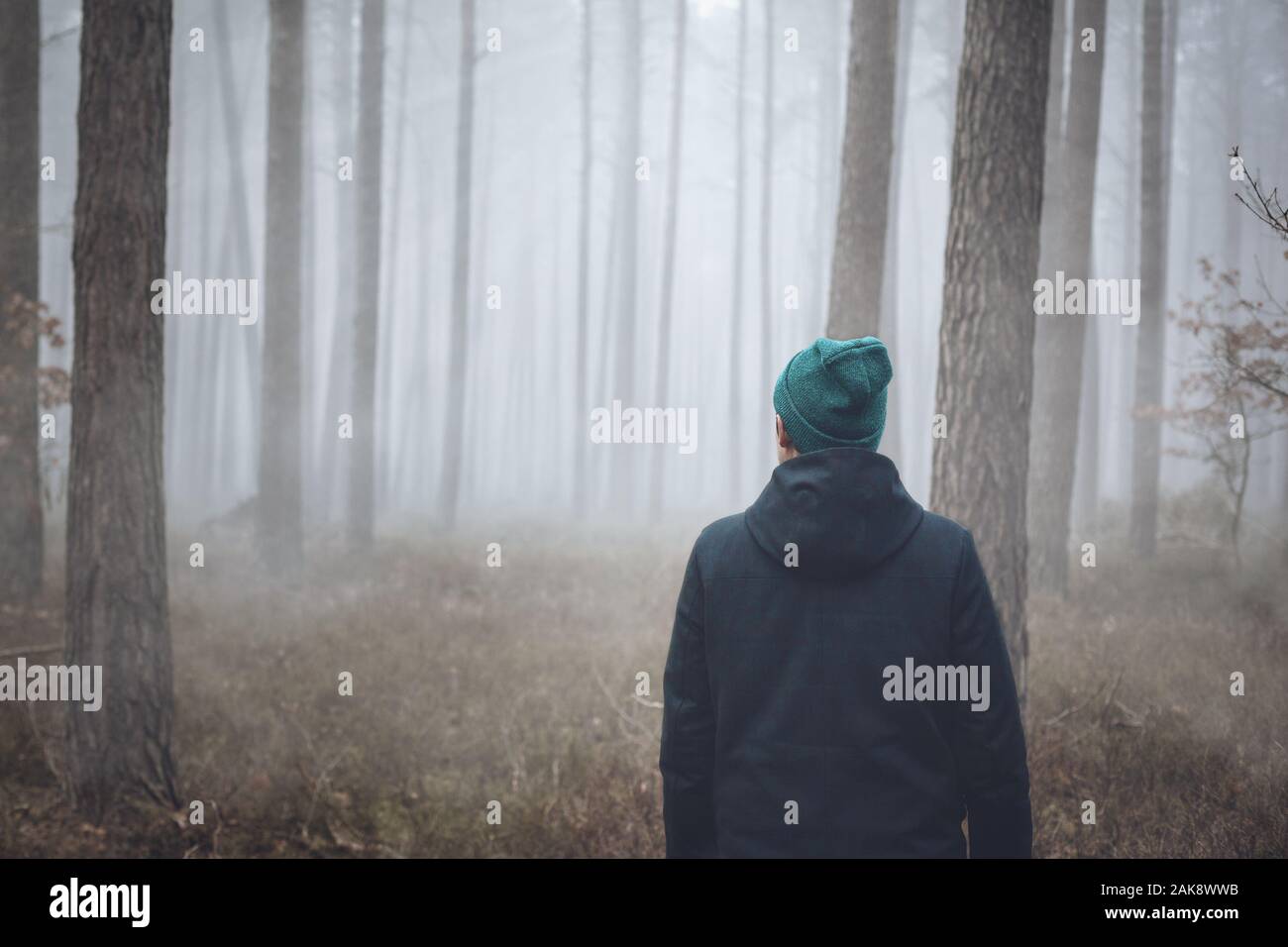 Inside of the forest hi-res stock photography and images - Alamy