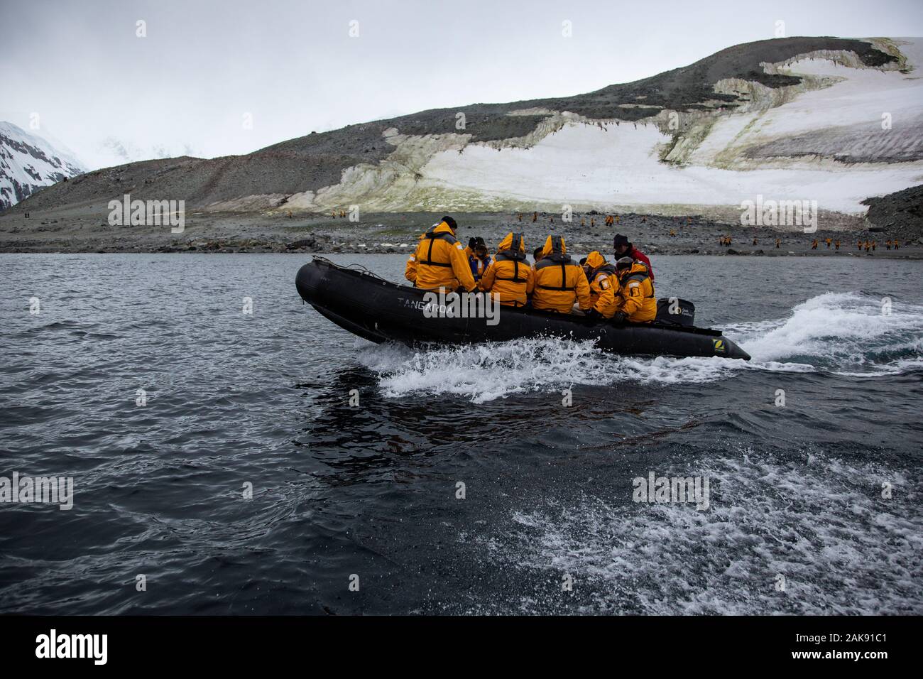 Zodiac boat with tourists on Antarctic sailing Stock Photo - Alamy