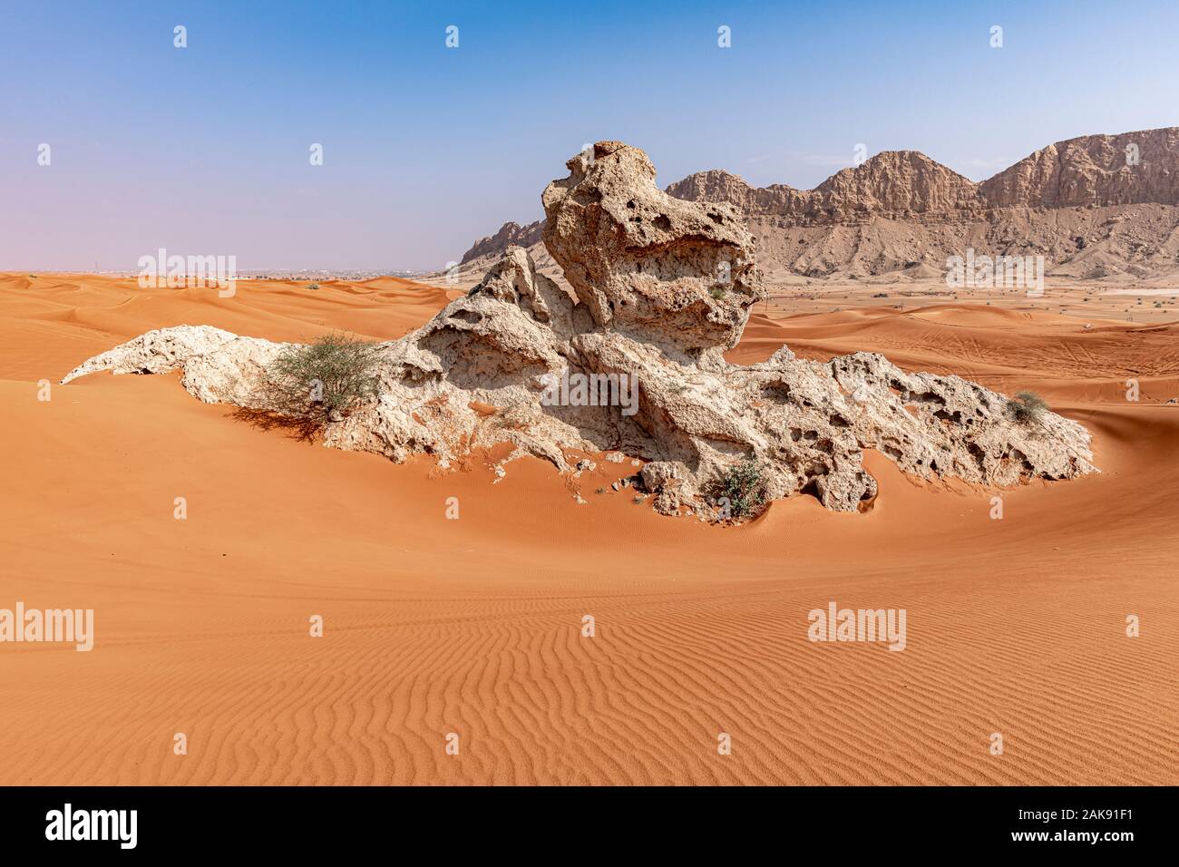 Natural environment forms hi-res stock photography and images - Alamy