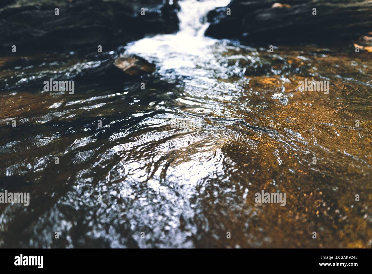 River in nature in the morning,Refreshing Stock Photo - Alamy