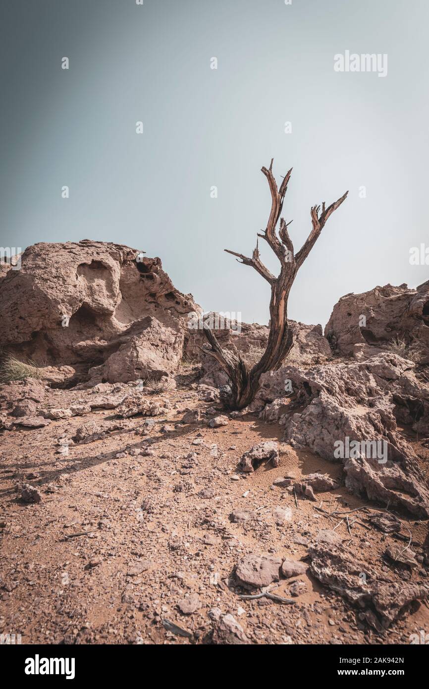 Red desert sandstone uae hi-res stock photography and images - Alamy