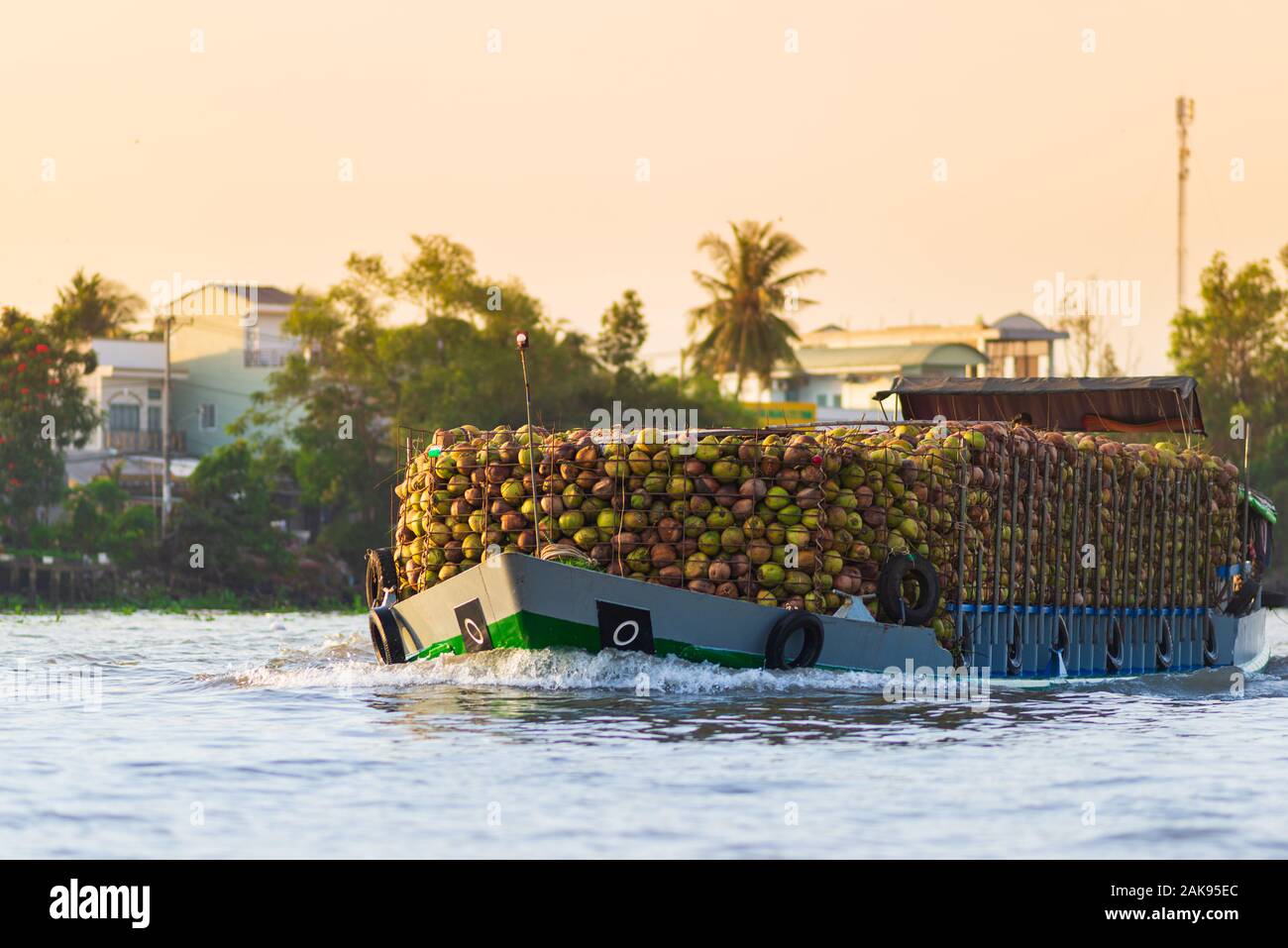 huge amount of coconuts on cargo ship at Cai Rang floating market ...