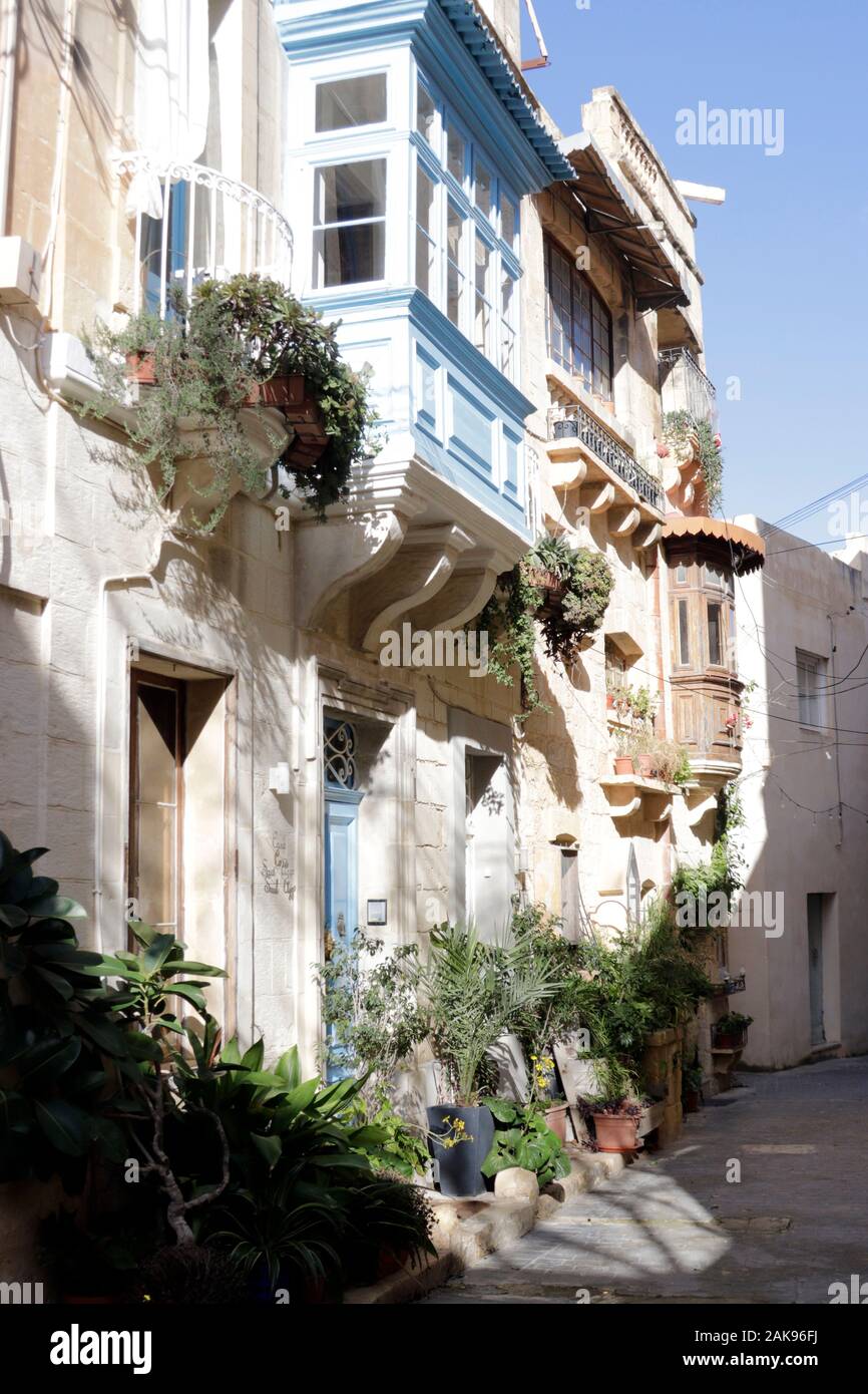 Mdina malta bougainvillea hi-res stock photography and images - Alamy