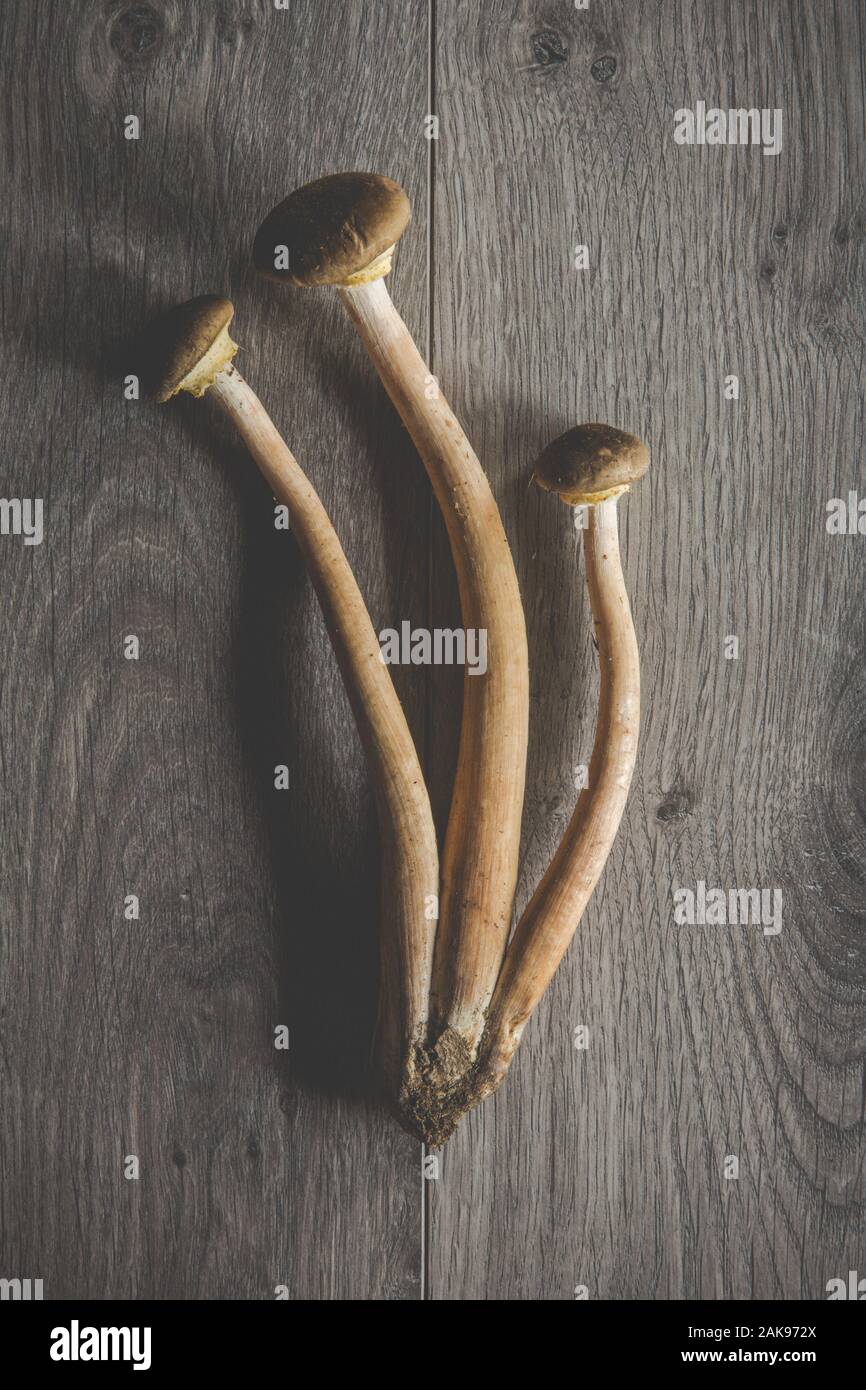 Chiodini High Resolution Stock Photography and Images - Alamy