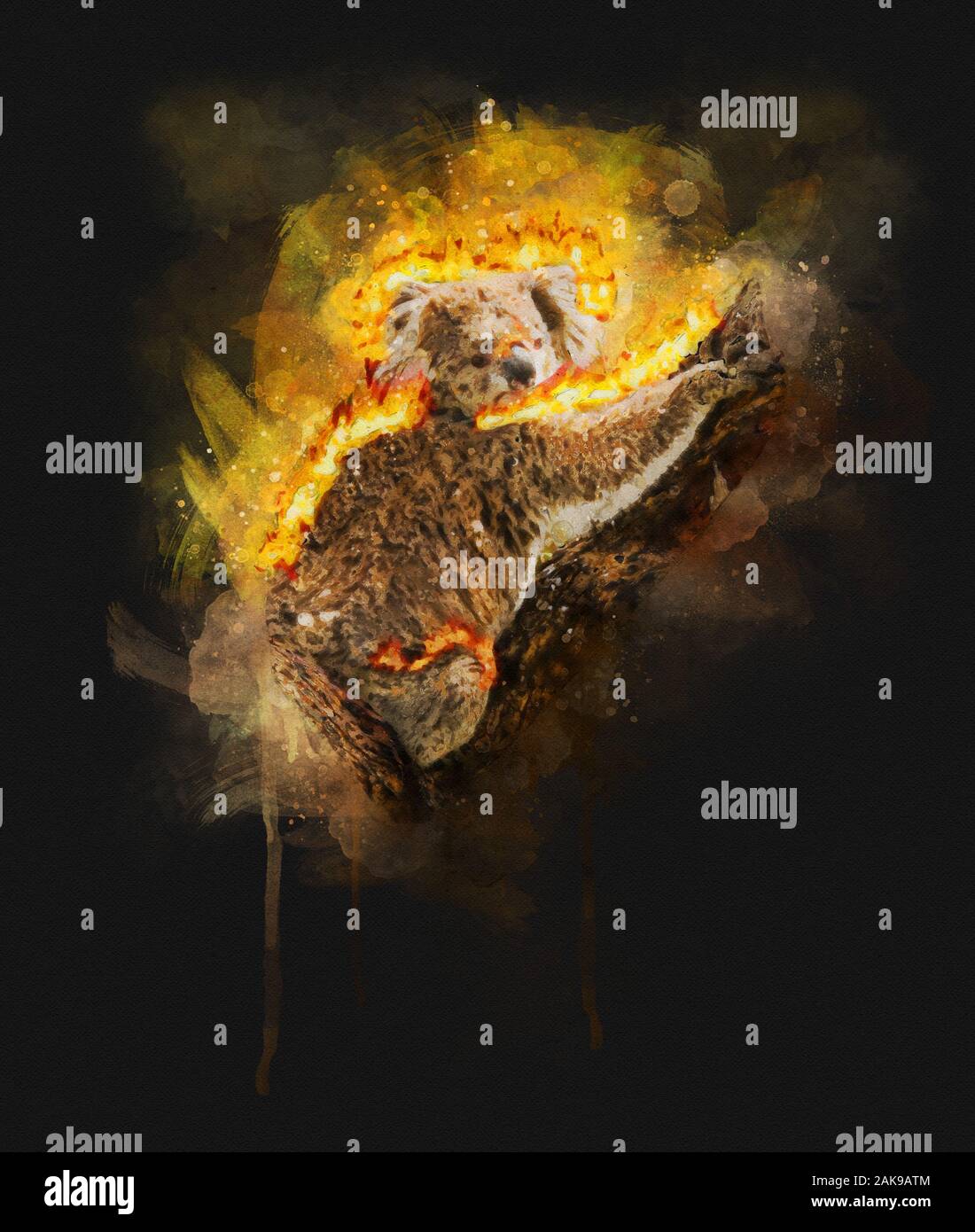 Illustration of a Burning Koala Stock Photo - Alamy