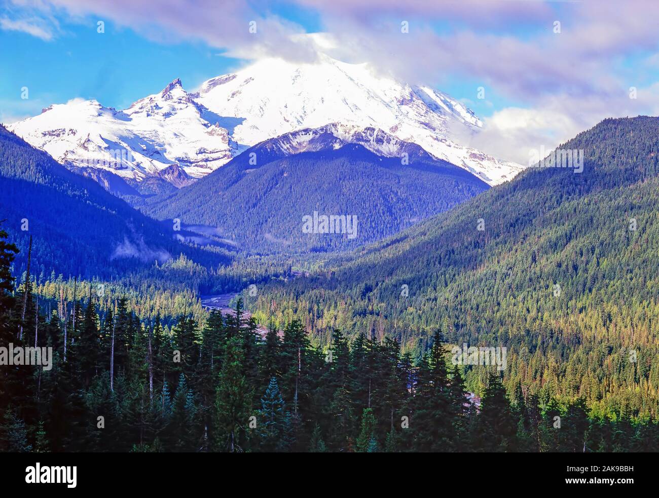 Mount Rainier, Washington Stock Photo - Alamy