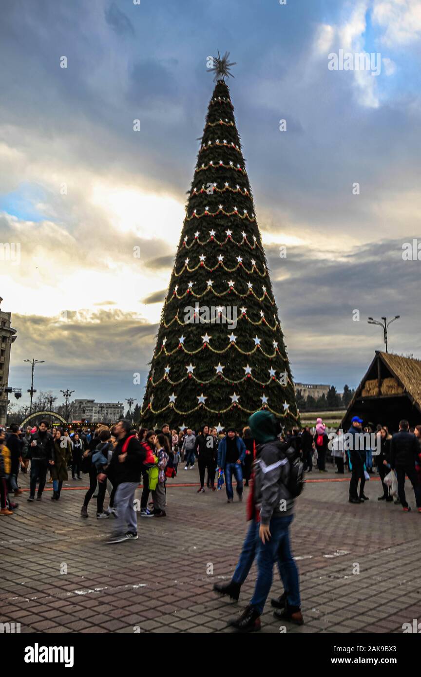 The Christmas tree on the Parliament Square Stock Photo - Alamy