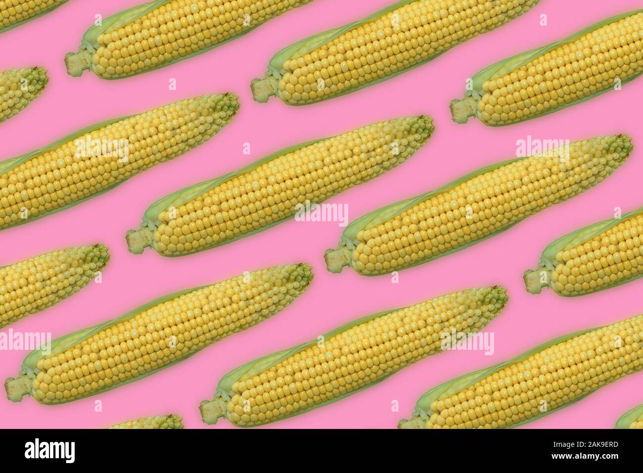 Beautiful corn on a creative pattern background Stock Photo - Alamy