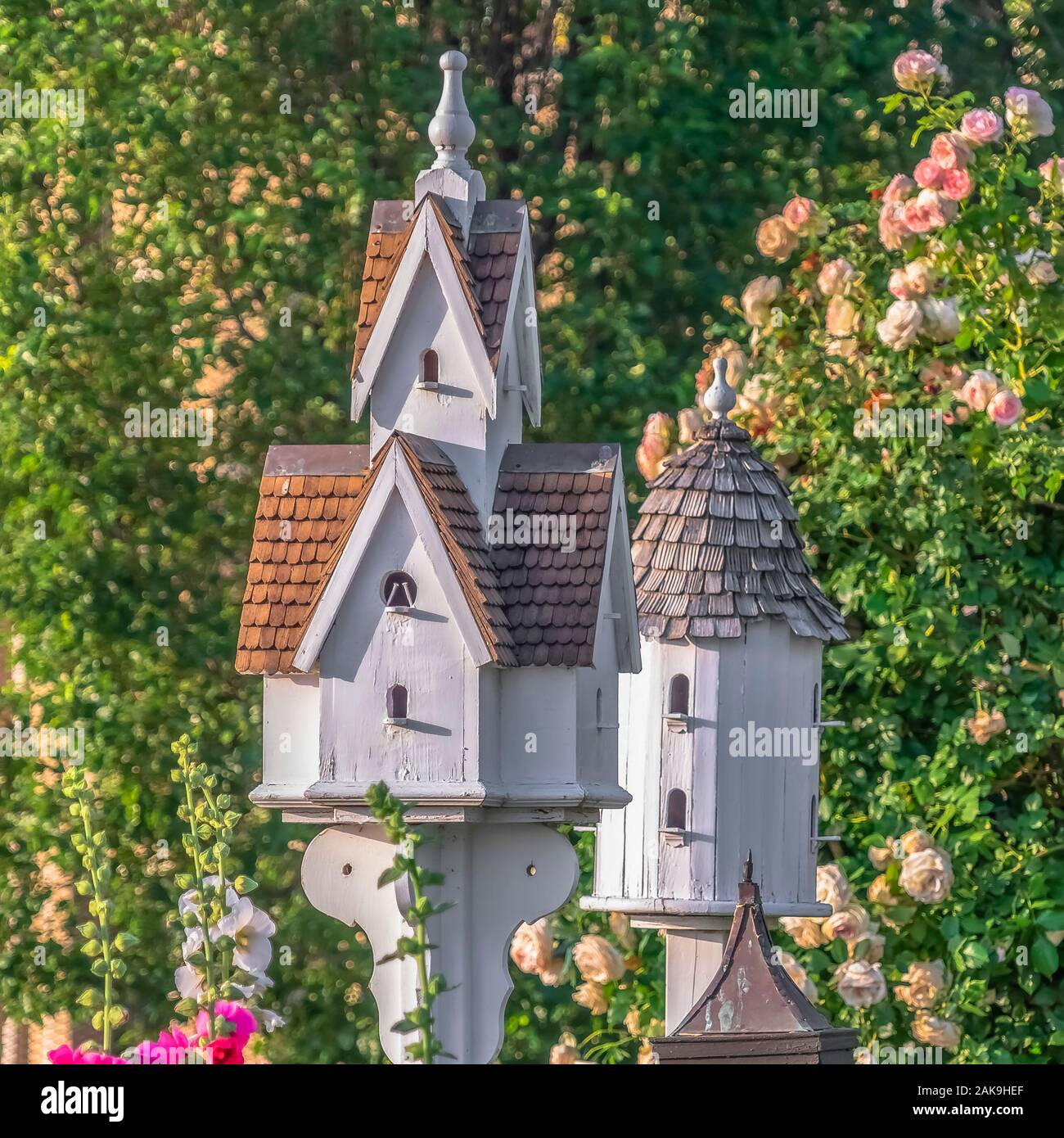 Square frame Close up of a beautiful birdhouse surrounded by colorful ...