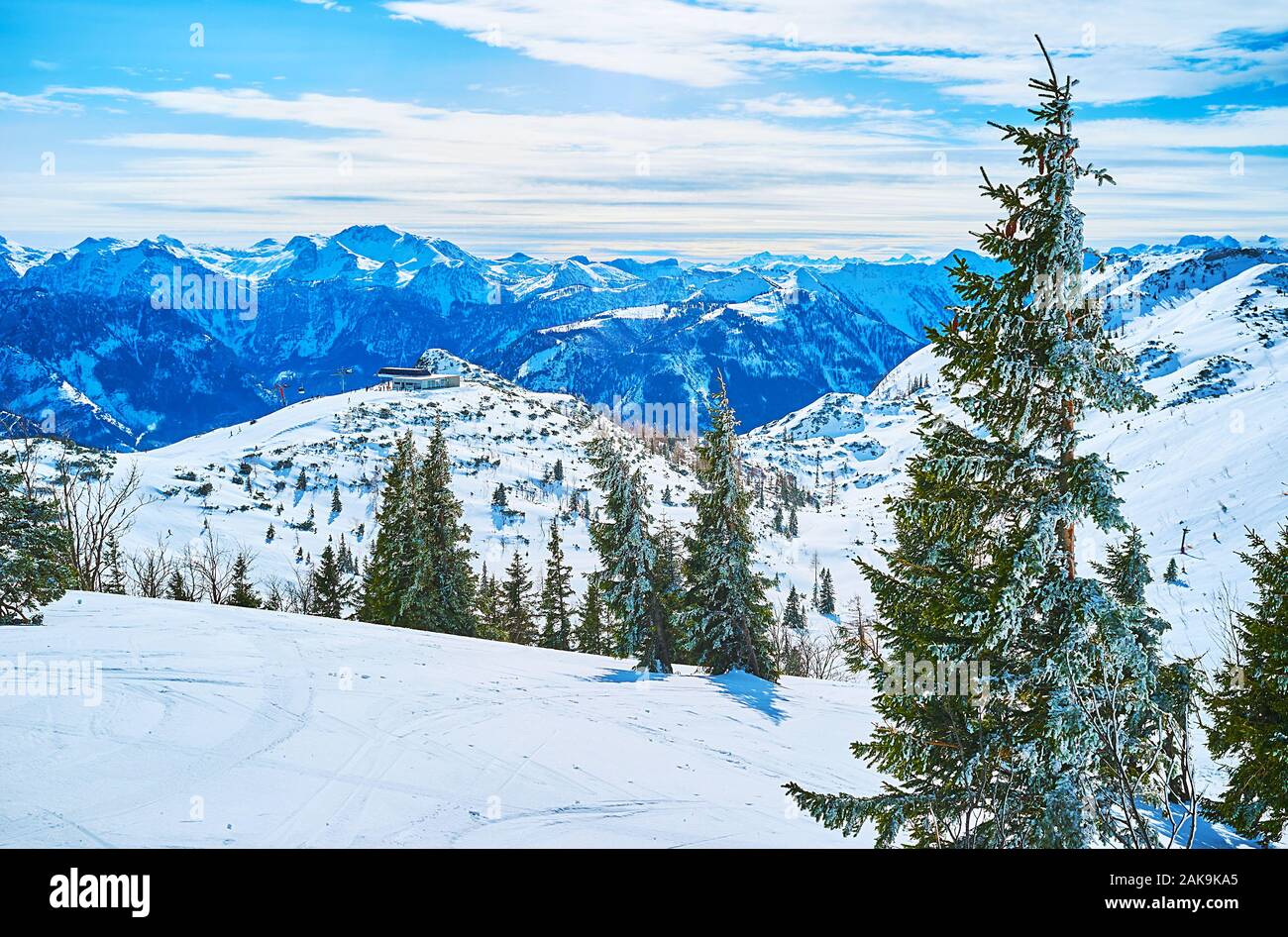 The snowy landscape with tall spruce trees, upper station of cable car ...