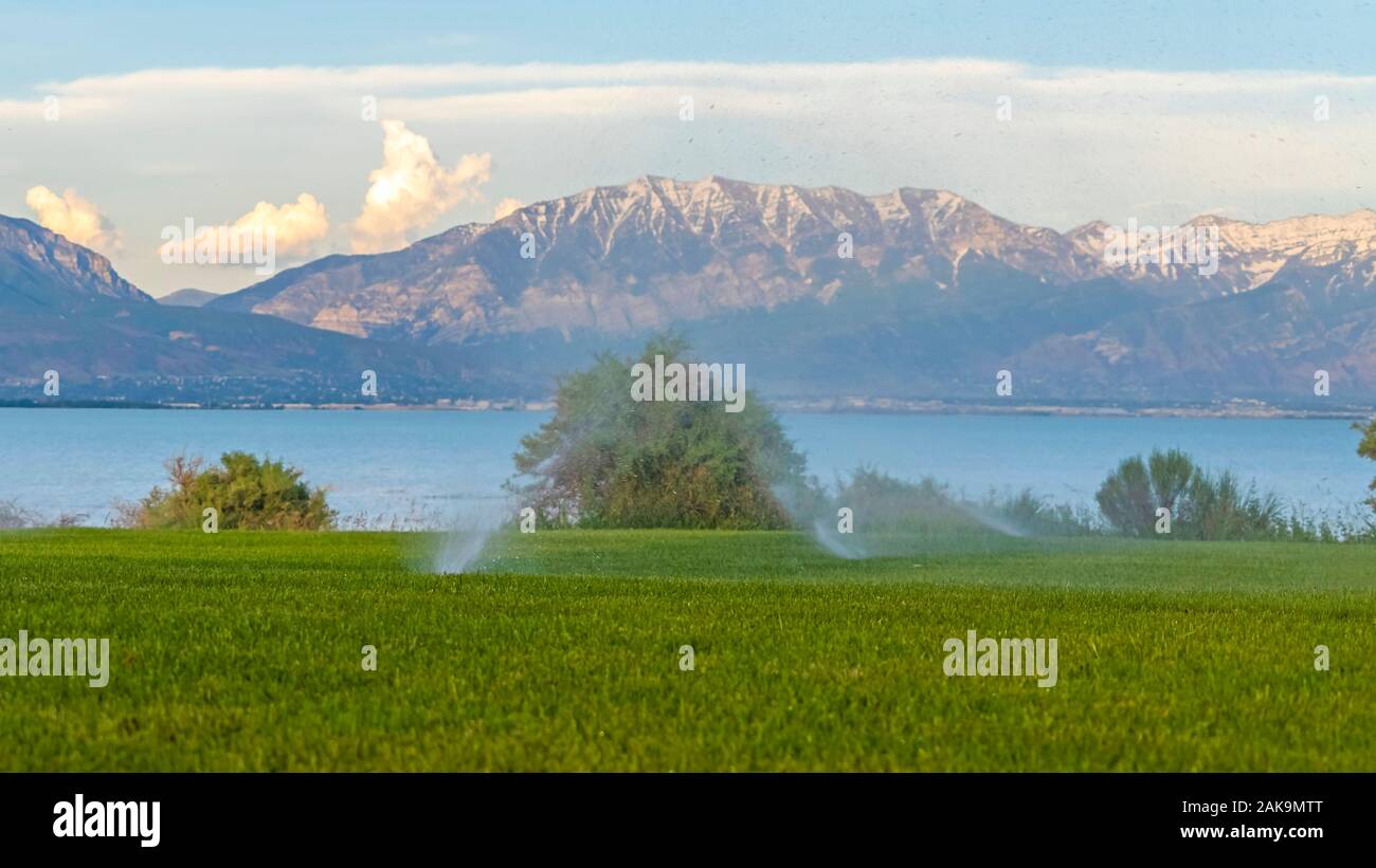 Pano frame Green grass irrigated by sprinklers with lake and snowy ...