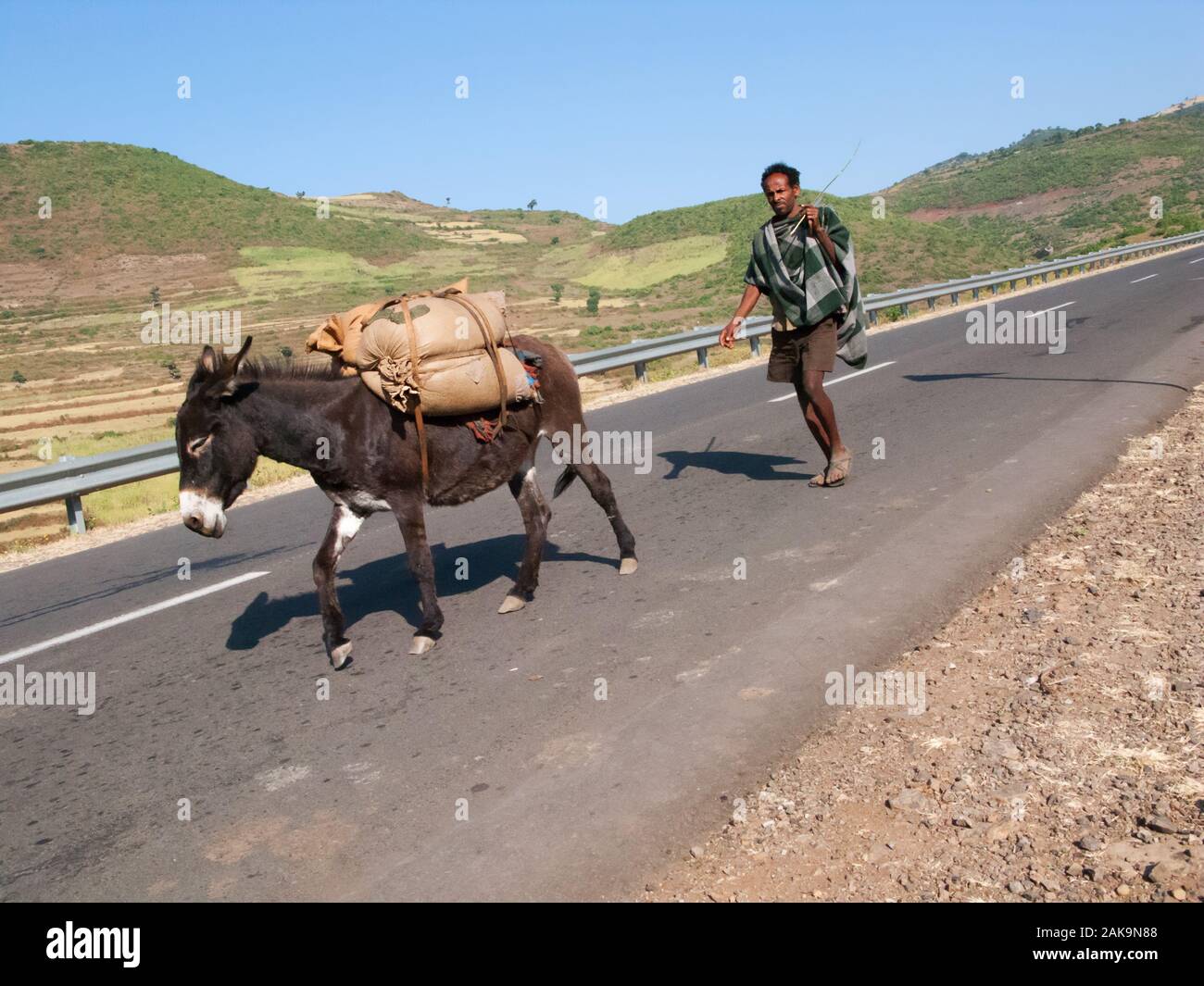 An Ethiopian with a donkey carrying heavy sacks. Gondar, Ethiopia Stock ...