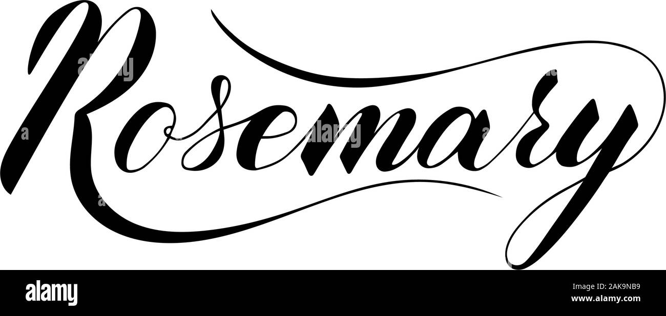 Vector hand written rosemary text isolated on white background. Kitchen ...