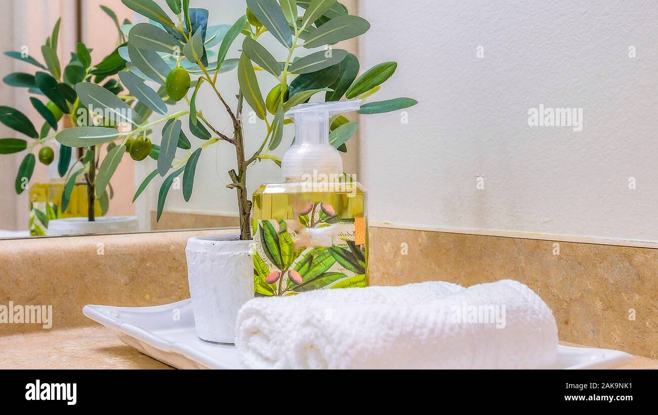 Pano frame Tray with face towels hand soap and potted plant inside a ...