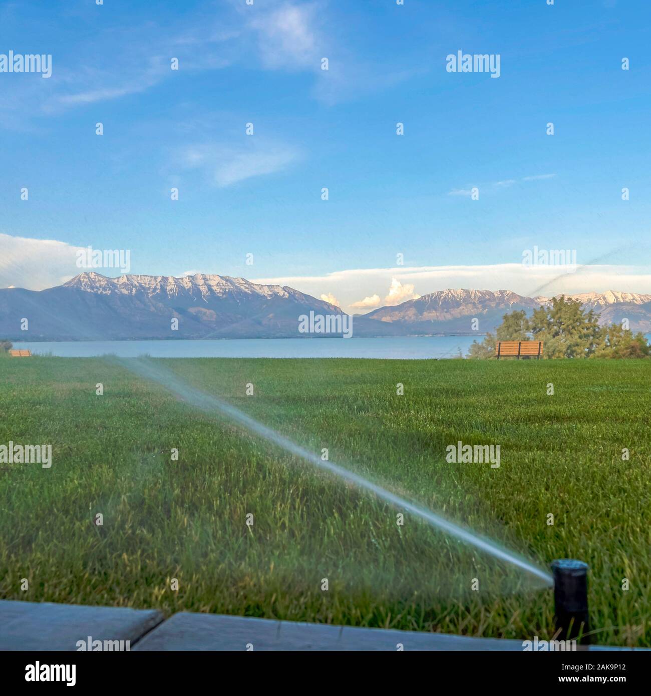Square Sprinkler spraying water on green grass with scenic nature view ...