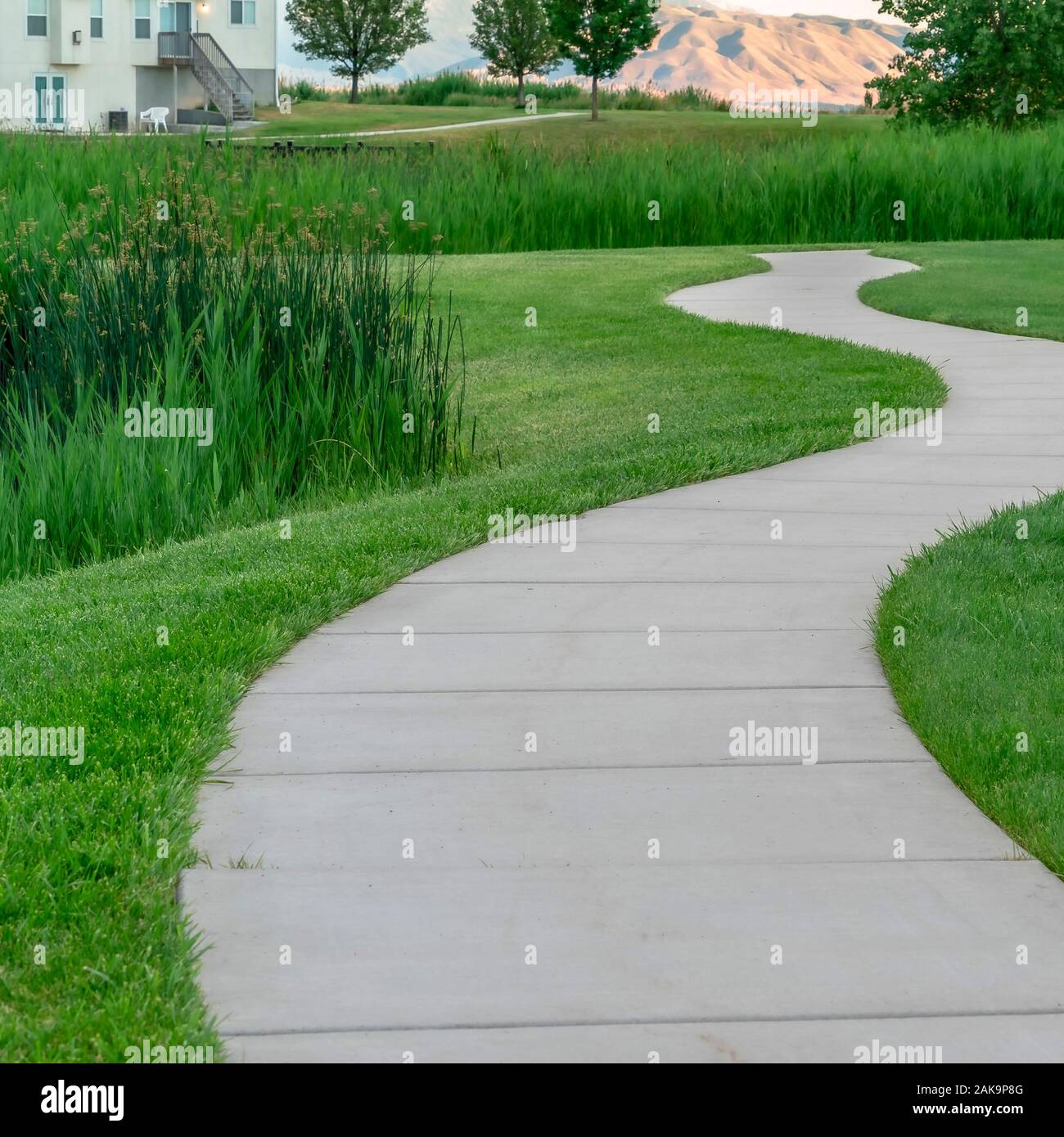 Square frame Narrow paved pathway winding through lush green grasses of ...