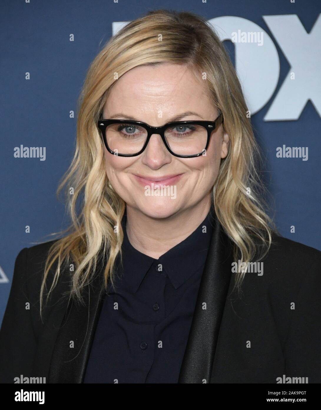 Amy poehler 2020 hi-res stock photography and images - Alamy
