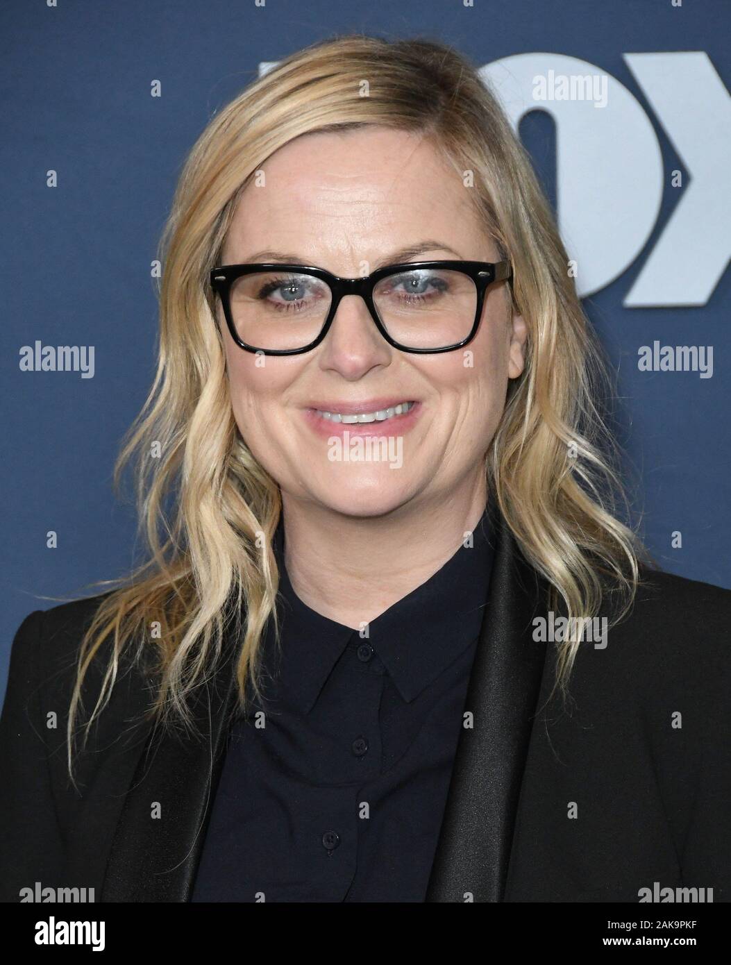 Amy poehler 2020 hi-res stock photography and images - Alamy