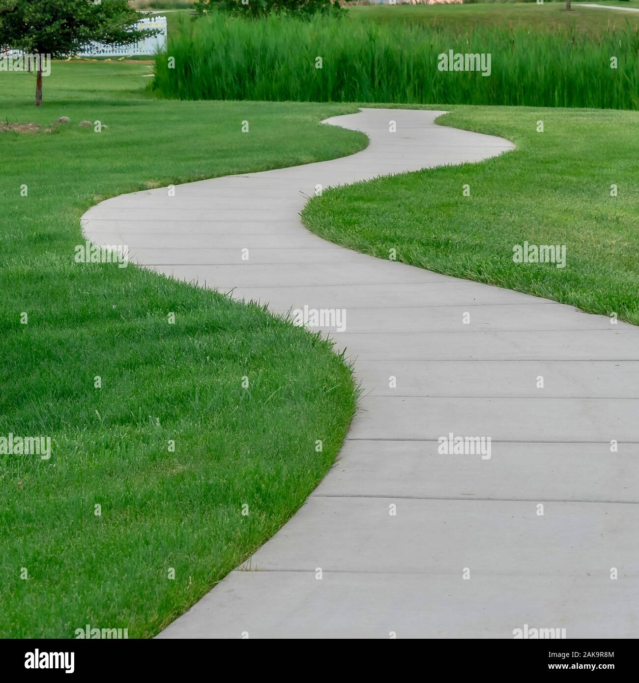 Square Narrow paved pathway winding through lush green grasses of park ...