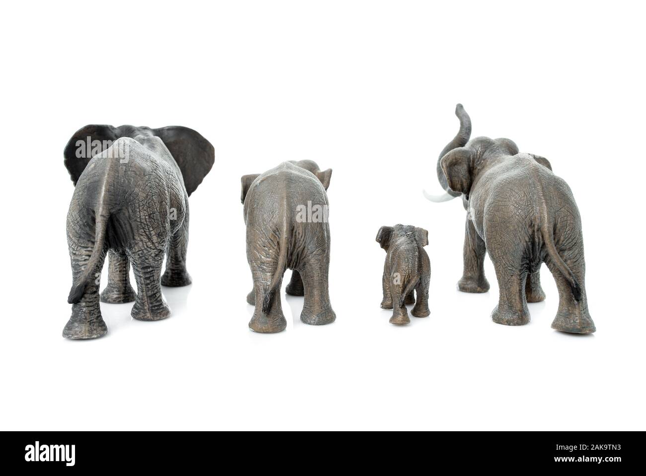 Elephants backside hi-res stock photography and images - Alamy