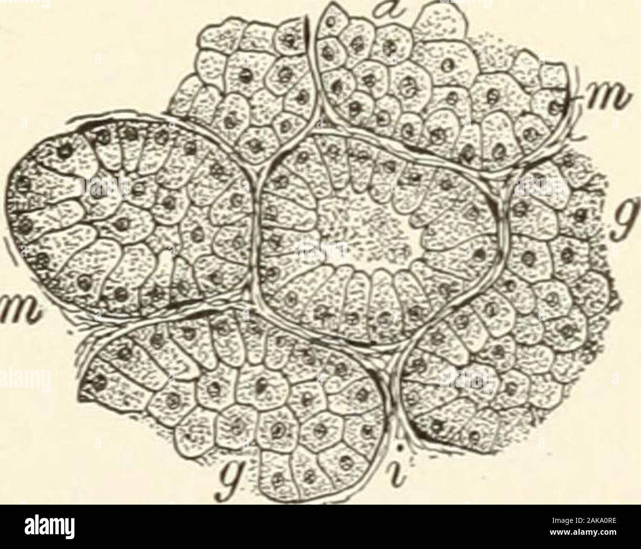 Spherical vessels hi-res stock photography and images - Alamy