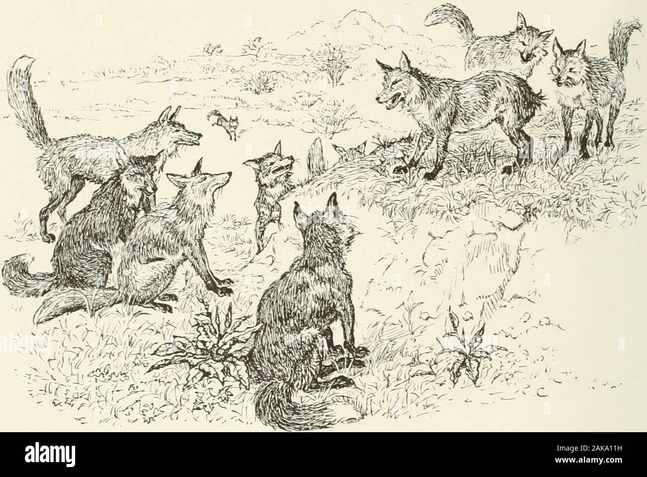 Some of Aesop's fables with modern instances shewn in designs by ...