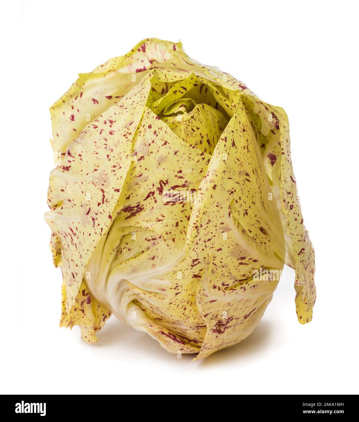 Variegated green leaf Cut Out Stock Images & Pictures - Alamy