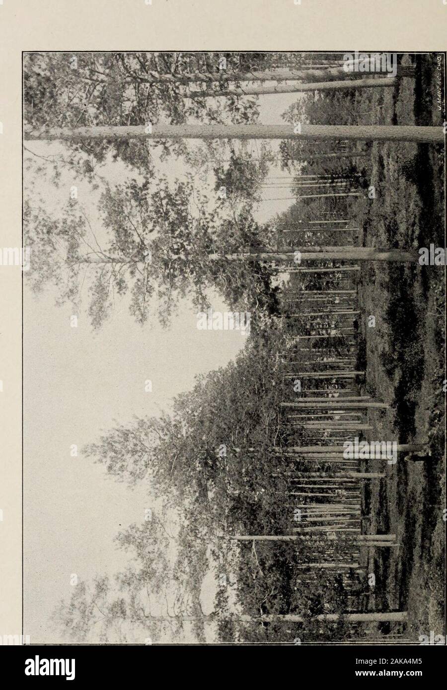 Brad sharp hi-res stock photography and images - Alamy