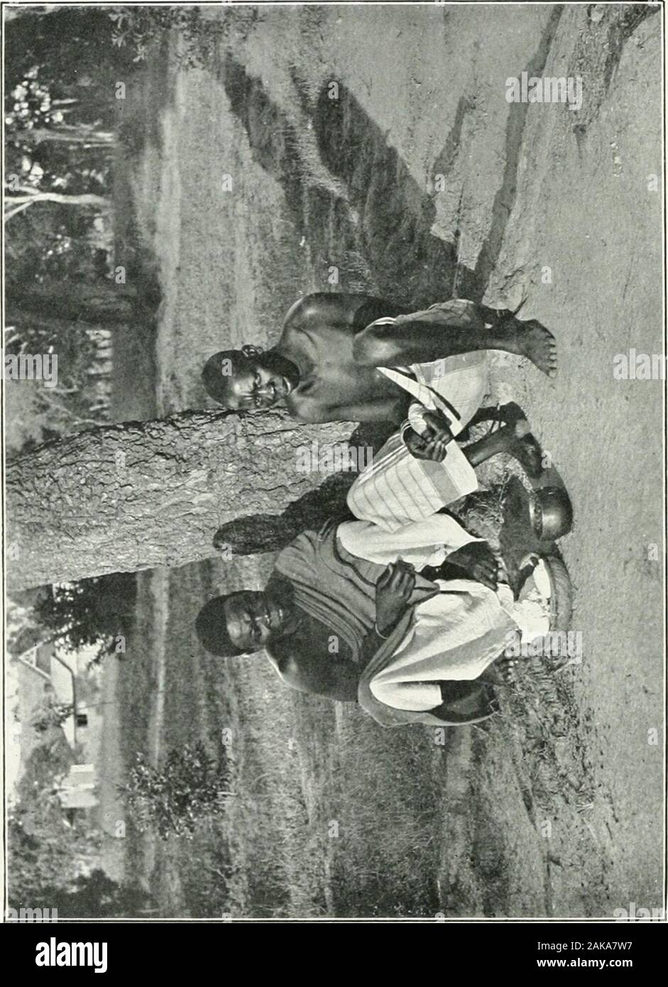 Pounding maize hi-res stock photography and images - Alamy