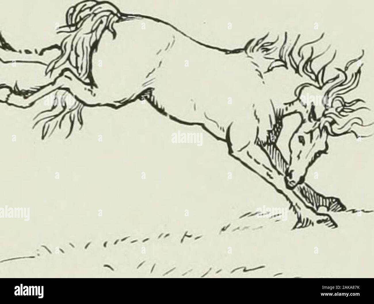 Some of Aesop's fables with modern instances shewn in designs by ...