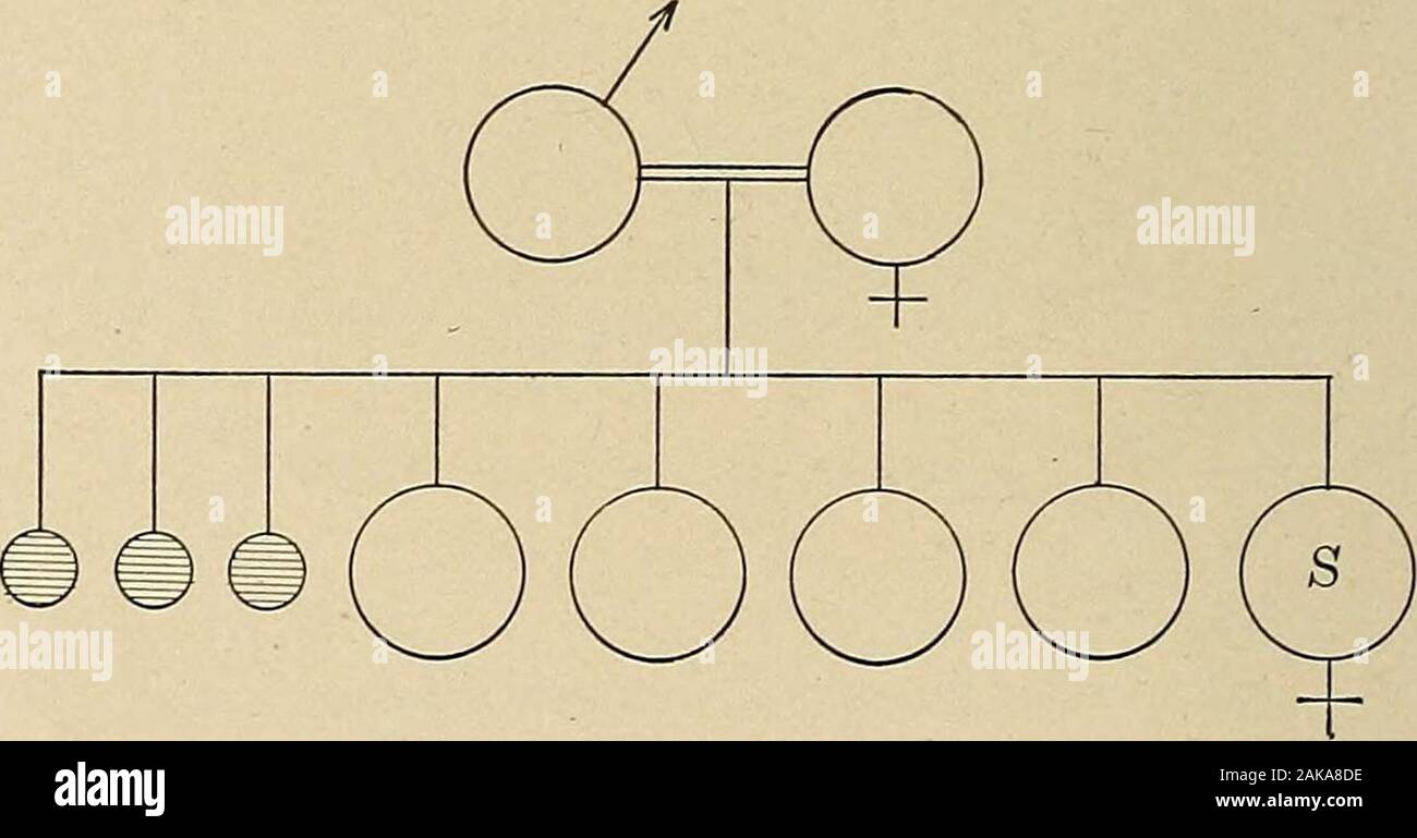 Diseases of the nervous system : a text-book of neurology and ...