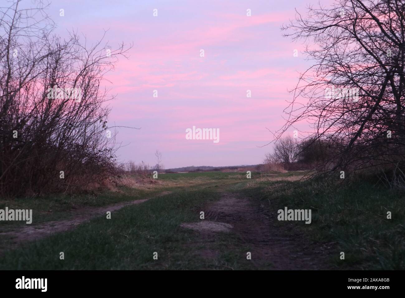 beautifully colored pink sunset sky in the nature Stock Photo - Alamy