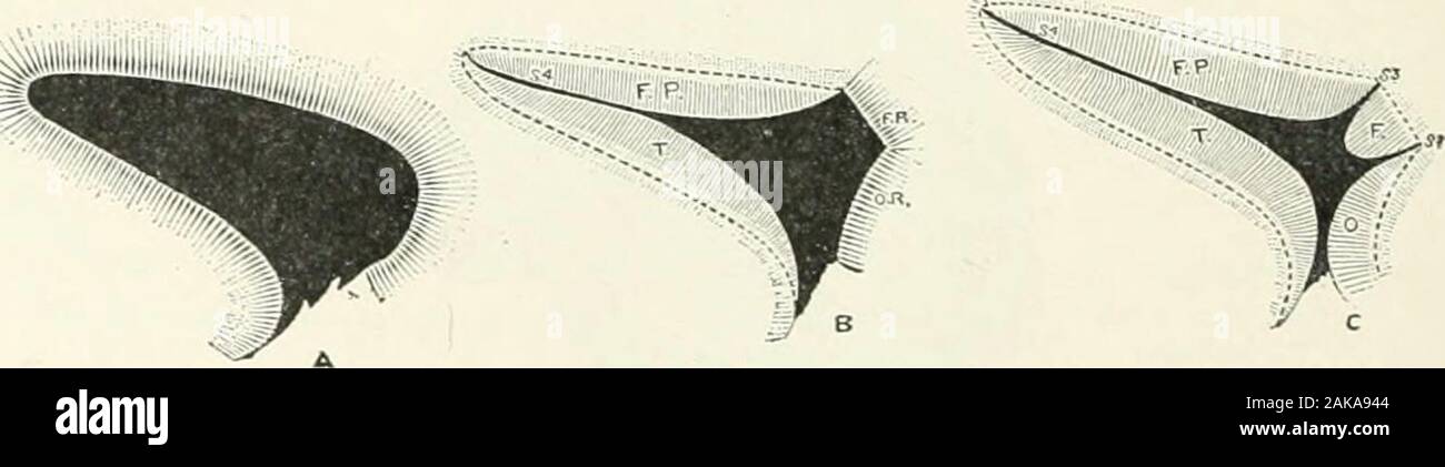 Insular range hi-res stock photography and images - Alamy
