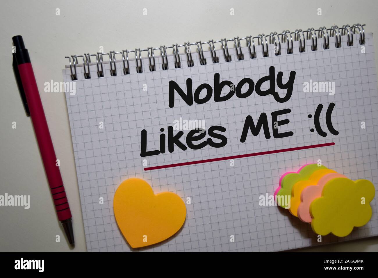 Nobody Likes Me What To Do