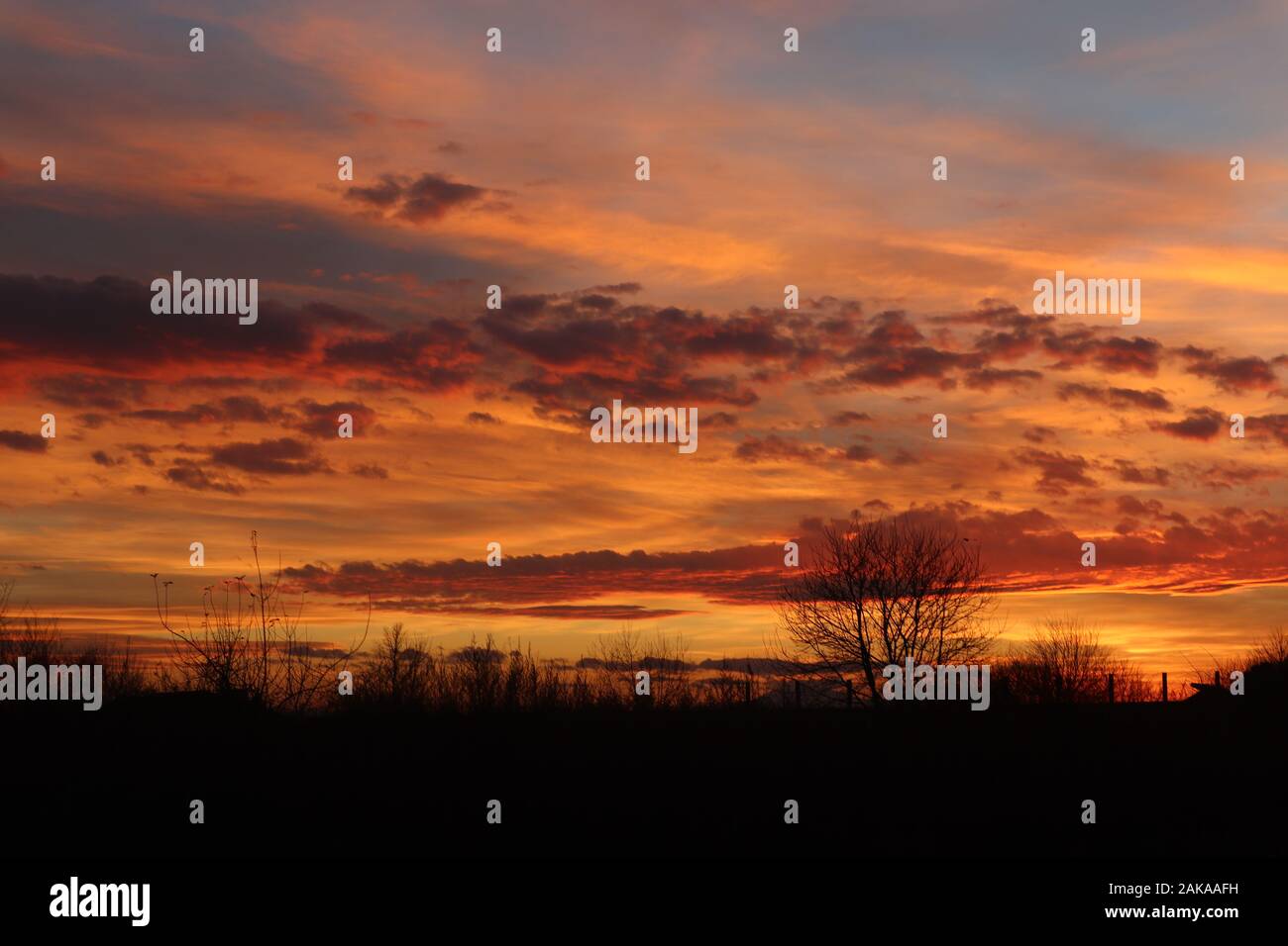 Beautiful sunset red and yellow in the nature walk by the village sky ...