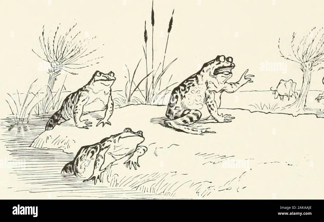 Some of Aesop's fables with modern instances shewn in designs by ...