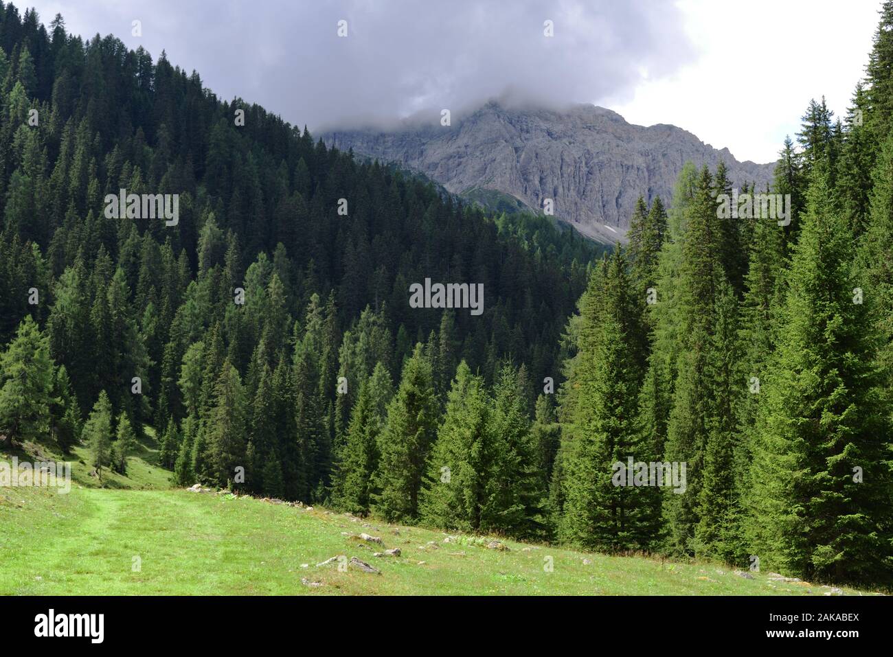 Austria border hi-res stock photography and images - Alamy