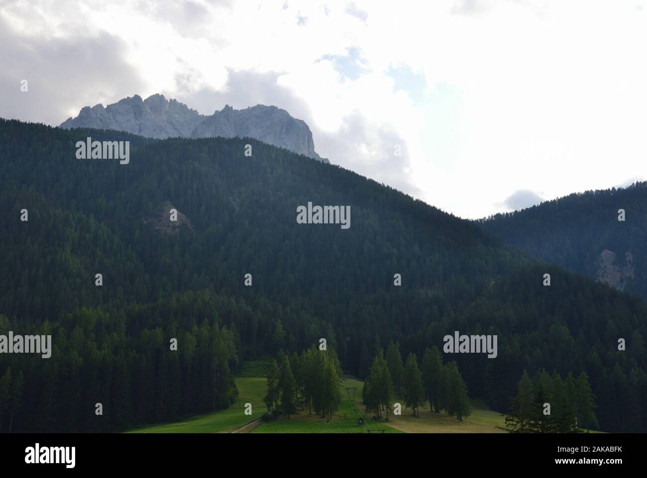 Large forests on the border of the Dolomites Stock Photo - Alamy