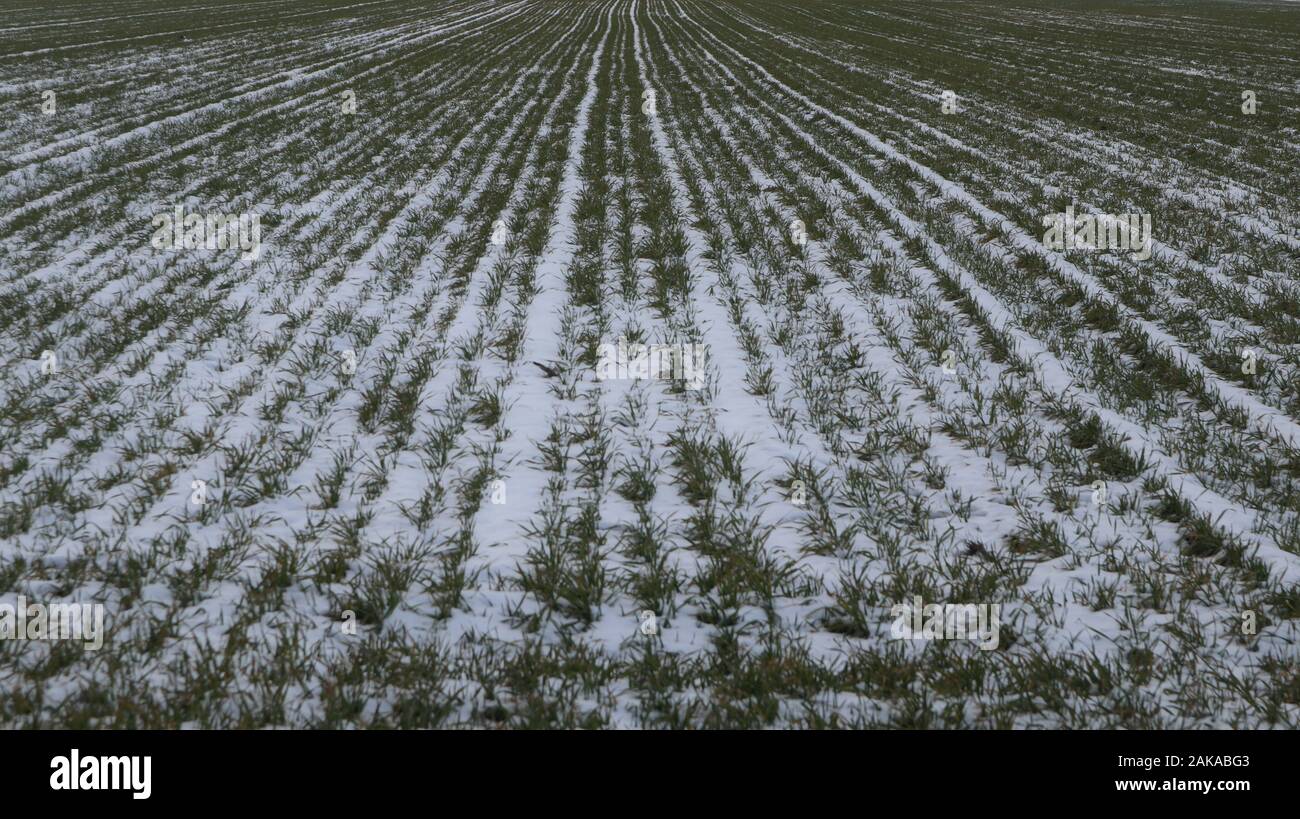 Amazing cold winter shots in the country field, beautiful snow and nice ...