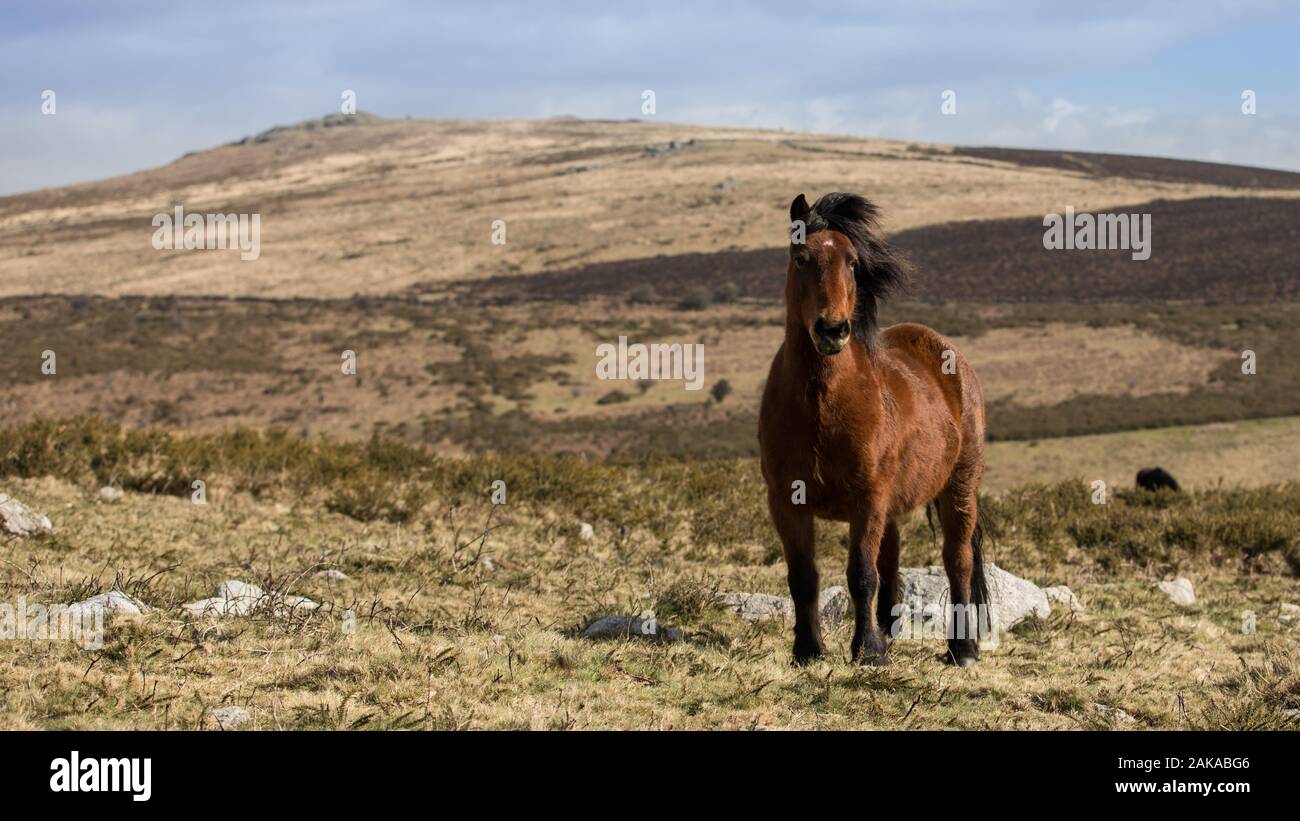 Shilstone hi-res stock photography and images - Alamy