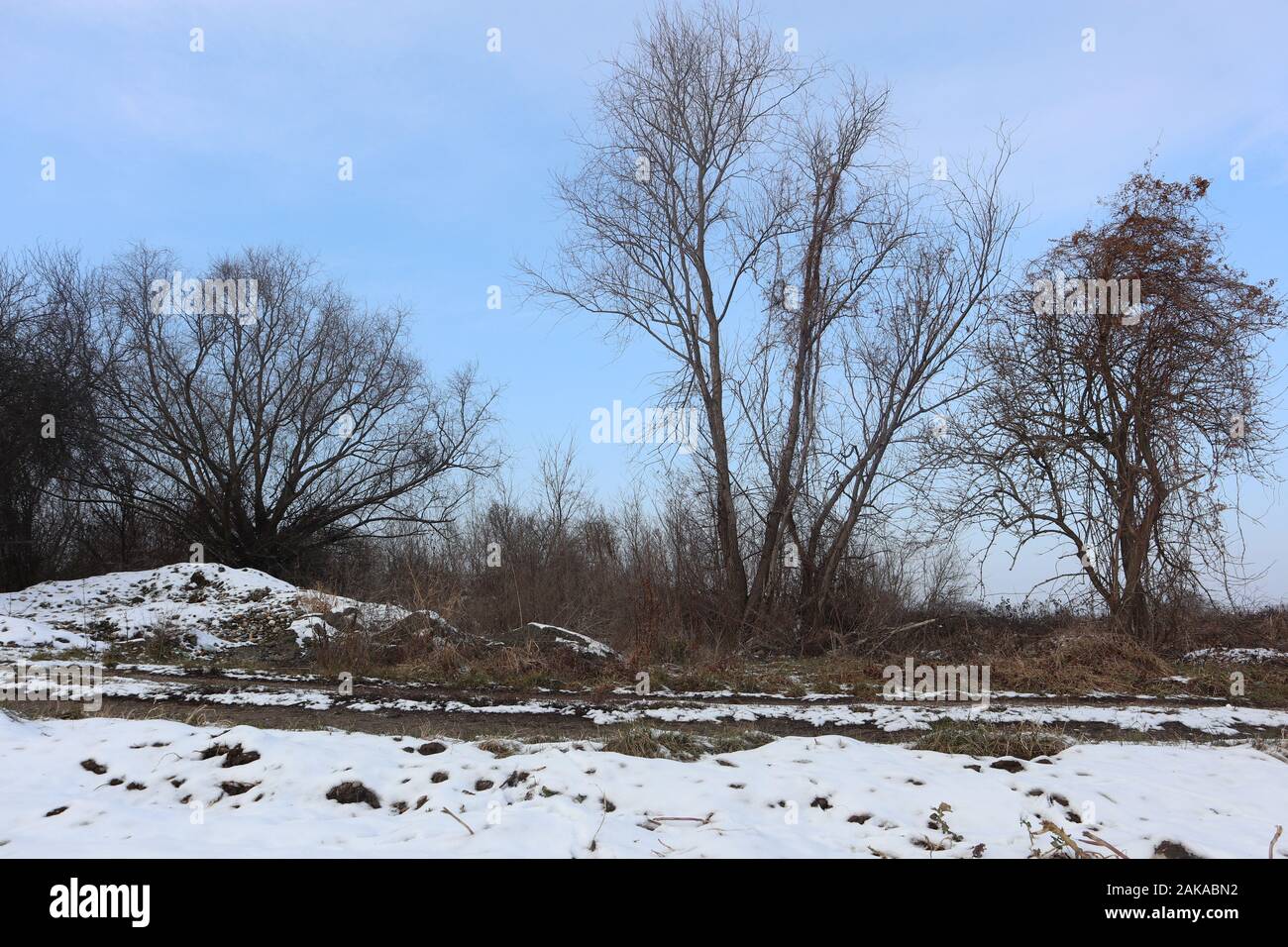 Amazing cold winter shots in the country field, beautiful snow and nice ...