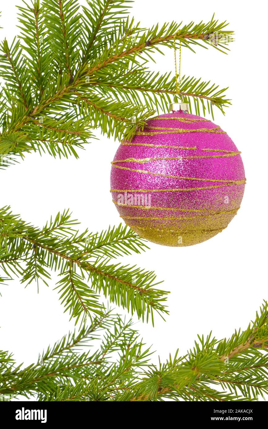 Pink Christmas tree toy on green treel branch isolated white background ...