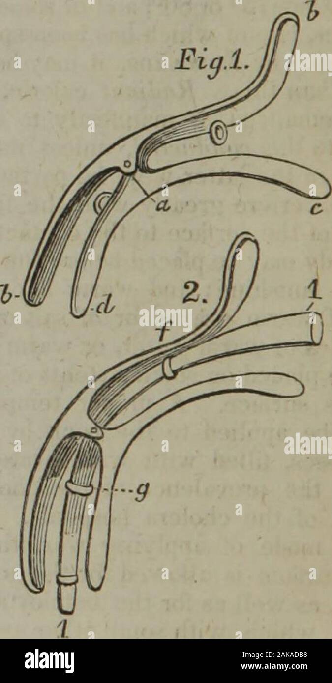Respiration bellows hi-res stock photography and images - Alamy