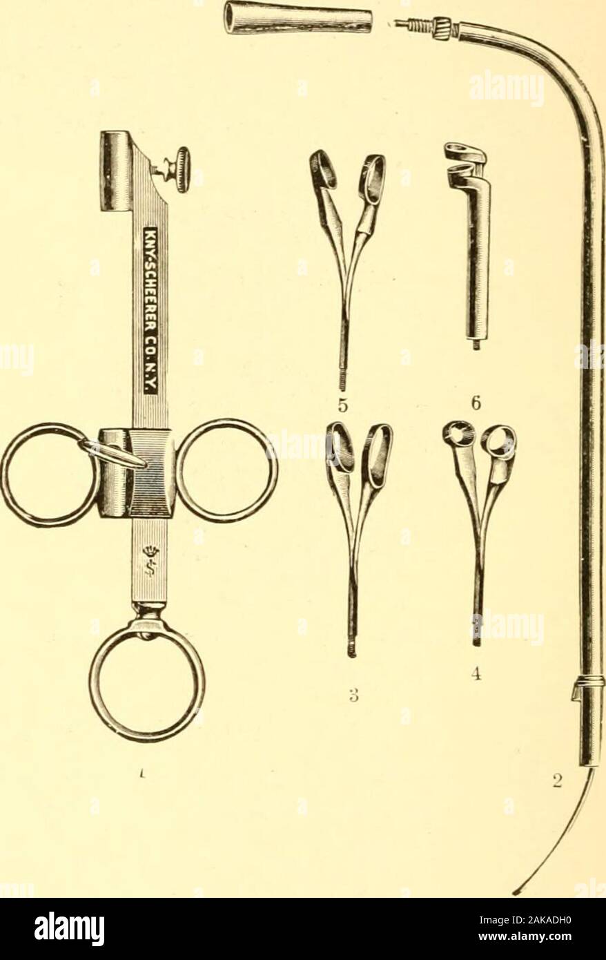 Larynx microscope hi-res stock photography and images - Alamy