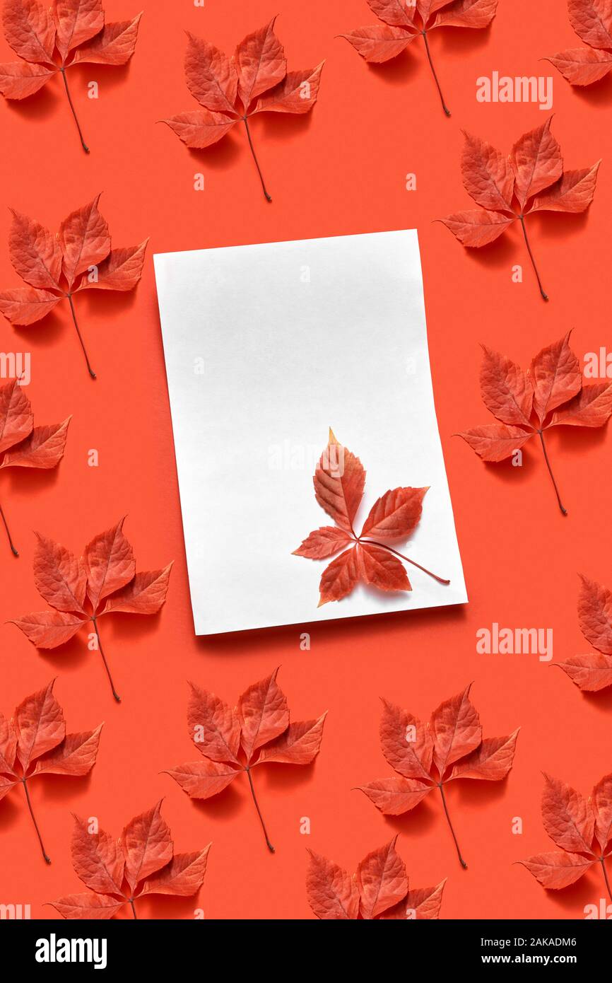 Congratulation autumn card with leaves Stock Photo - Alamy