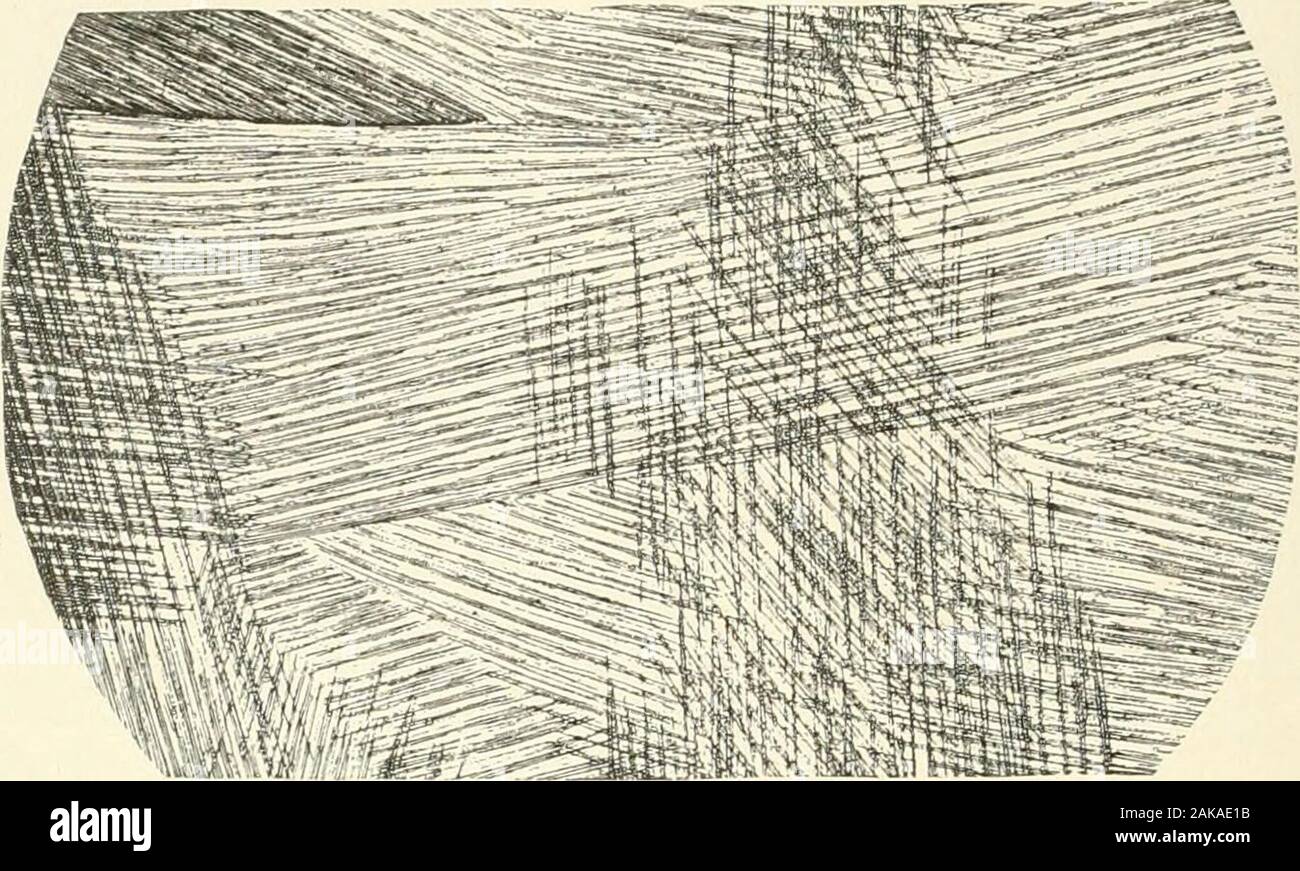 Textbook of normal histology: including an account of the development ...
