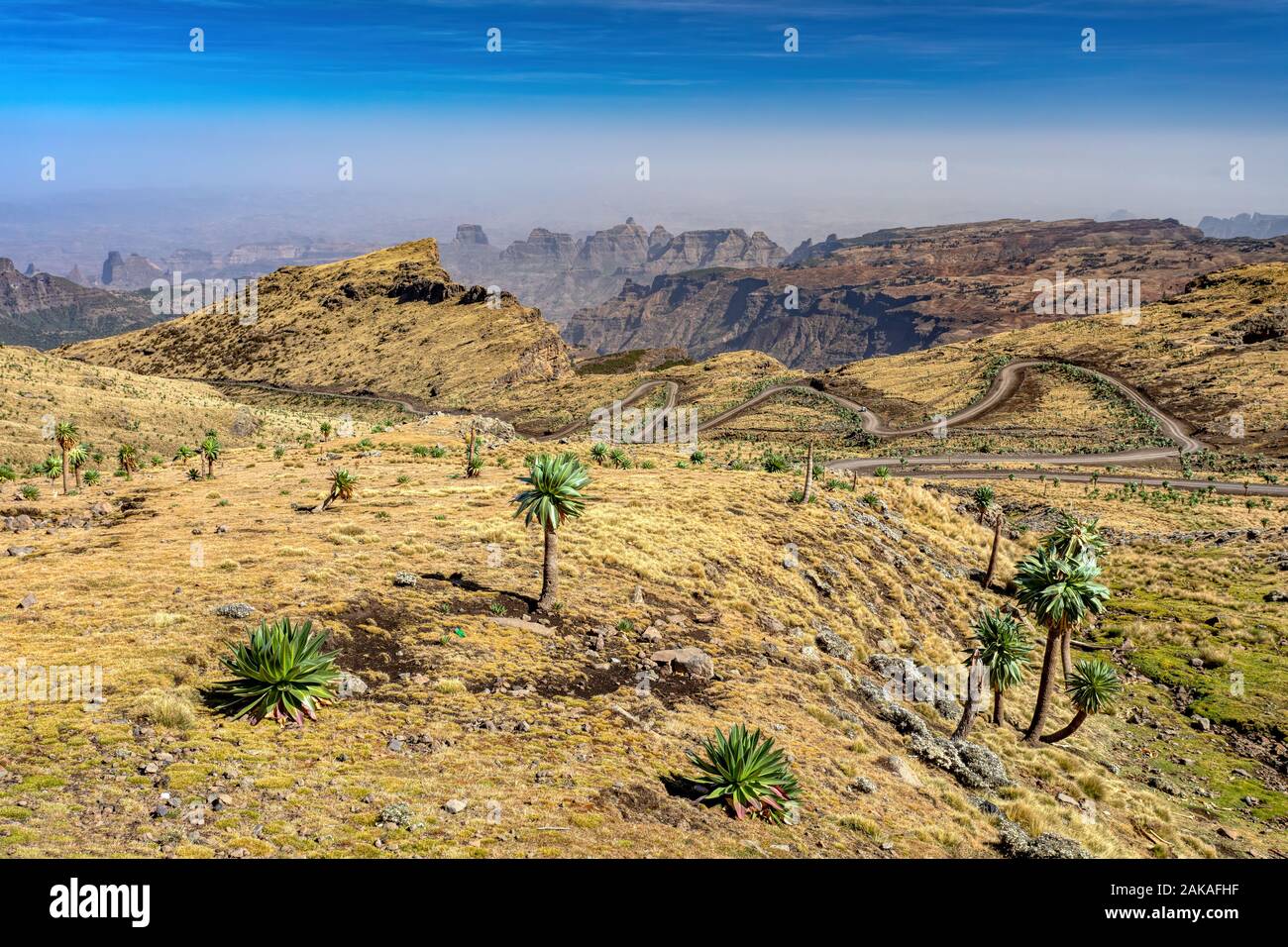 Stony winding road in Semien or Simien Mountains National Park ...