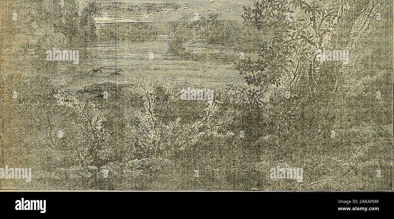 Ponts mill hi-res stock photography and images - Alamy